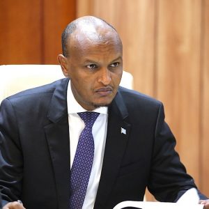 Somali Deputy Prime Minister Mahdi Guled organizing the 2021 elections ...