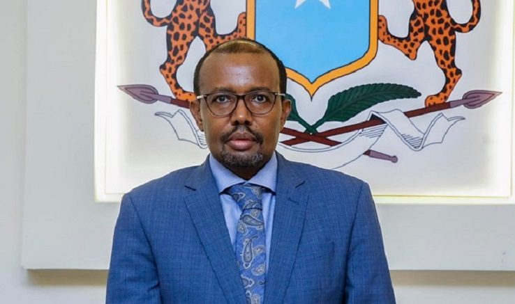 Somali Foreign Minister says to give license Bank of Egypt - Somali Times