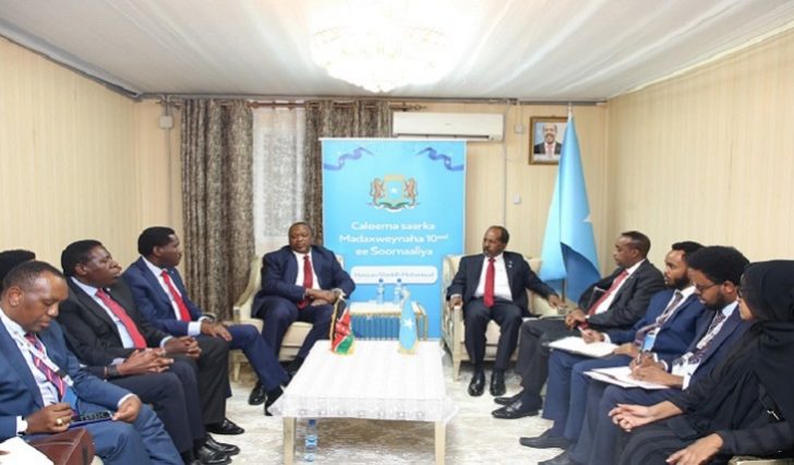 Kenya's drug miraa exports, flights to Somalia to resume - Somali Times