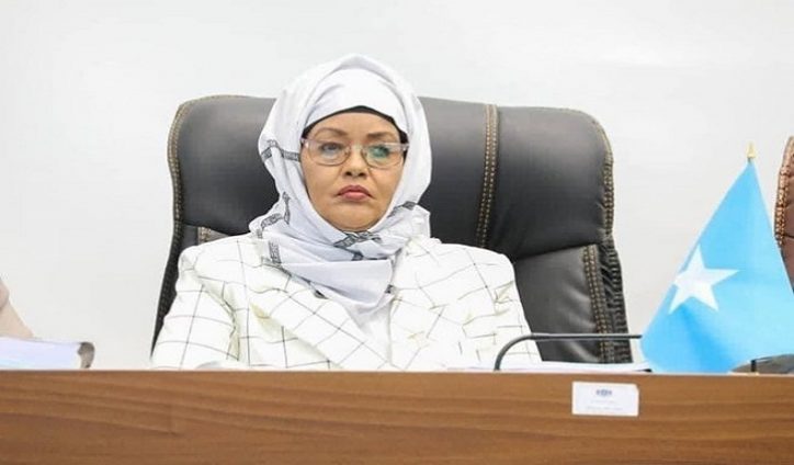 Somalia deputy speaker Sadia Samatar against the new Cabinet of ...