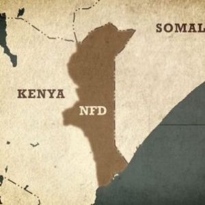 Why rising Somali numbers scare us - Somali Times
