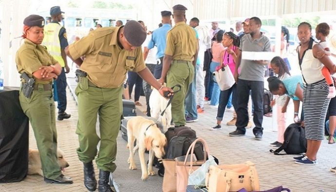 Kenya Revenue Authority seeks sniffer dogs to catch cash hidden in bags ...
