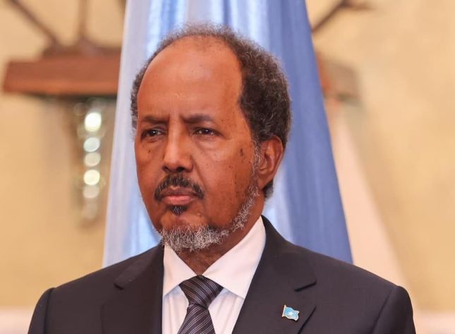 Hassan Sheikh agreed for Egyptian army to operate in Somalia - Somali Times