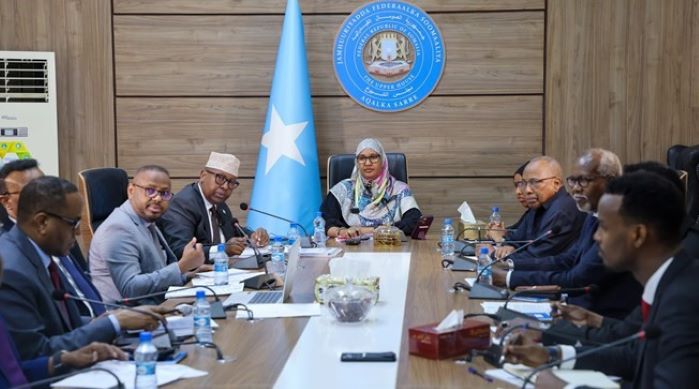 Somalia Foreign Minister recruiting 17 advisers for embassies no ...
